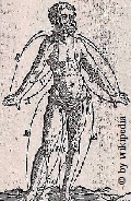 Seuchen des Mittelalters - www.umdht.org